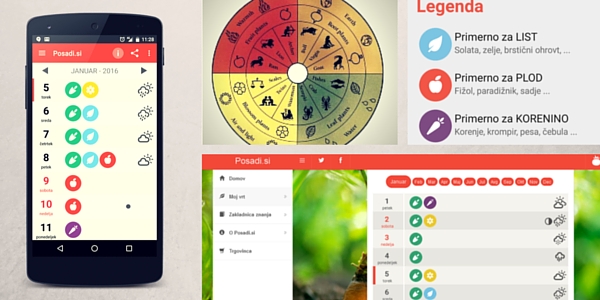 Setveni koledar Marije Thun - kako deluje in zakaj ga izbrati.