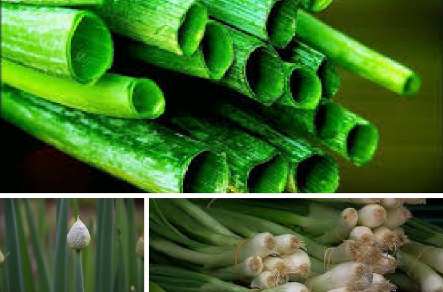 Zelenjava od A do Ž: šopasta čebula - Posadi.si Blog