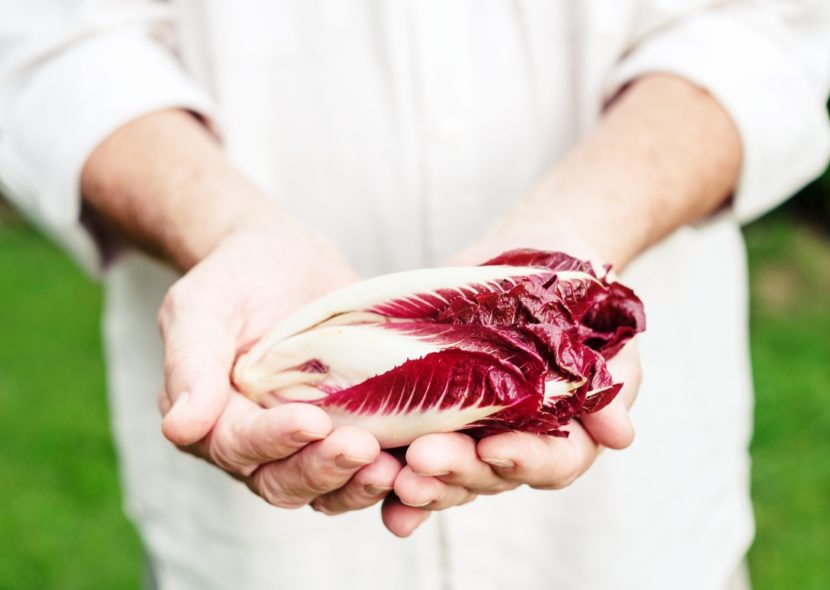 Zelenjava na vrtu: najpogostejše vrste zelenjave, njihovi dobri sosedi ...