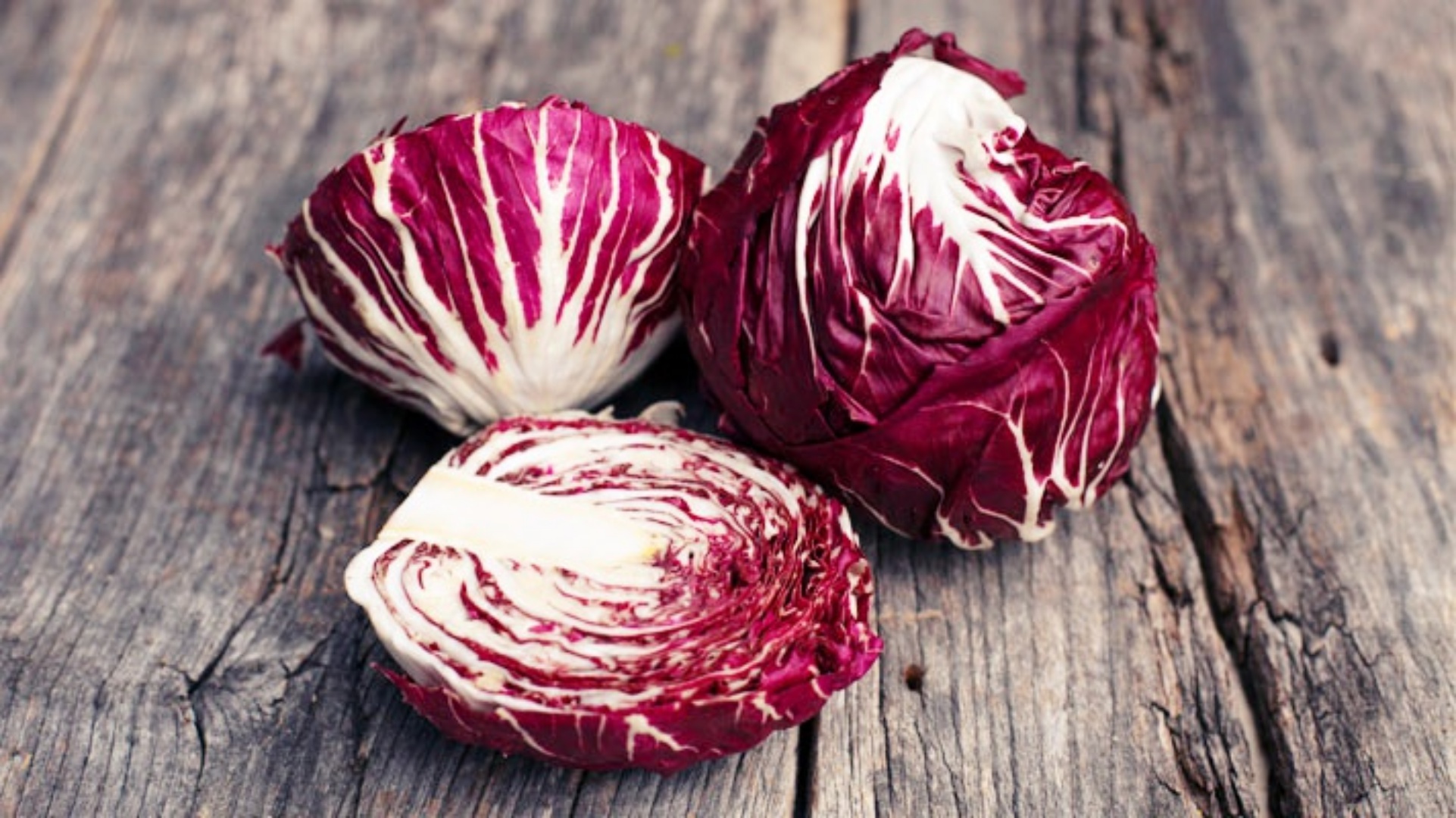 Jesenski radiči za zimske solate - Sorte radičev in kako jih gojimo